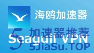 海鸥VPN安全吗？海鸥加速器永久免费版安卓App官网下载和使用教程 - 5加速